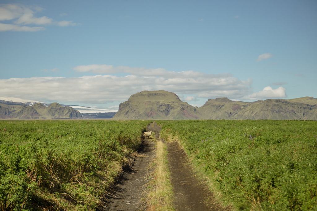 The Katla Track - Vík Expeditions